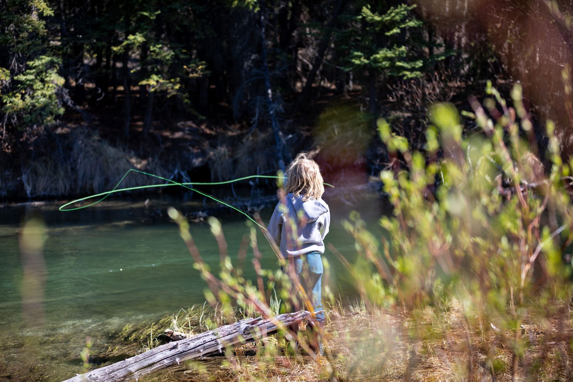 Renewable Resources Councils – Yukon Fish and Wildlife Management Board